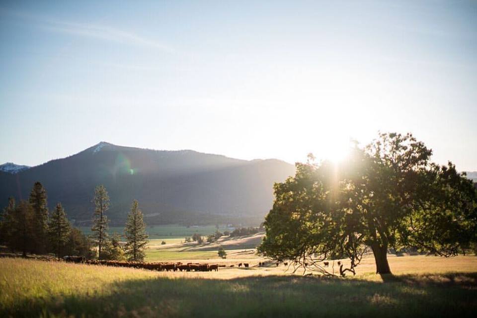 Scott River Ranch - Discover Siskiyou