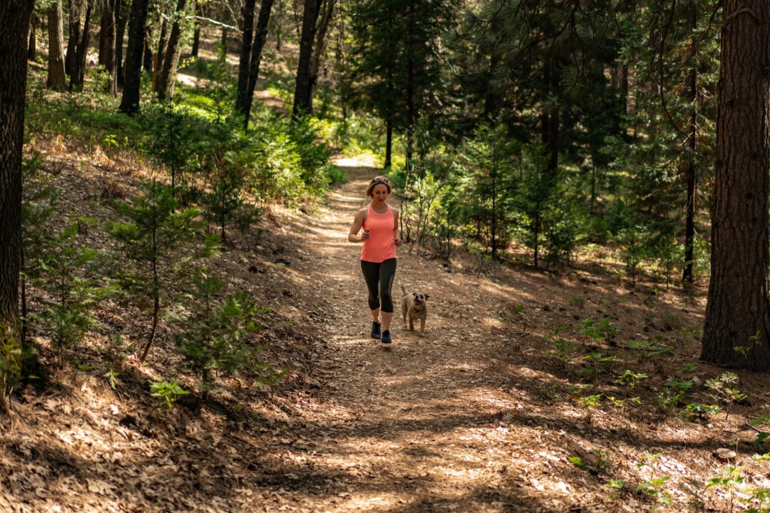 Things To Do in Weed, Ca - Discover Siskiyou