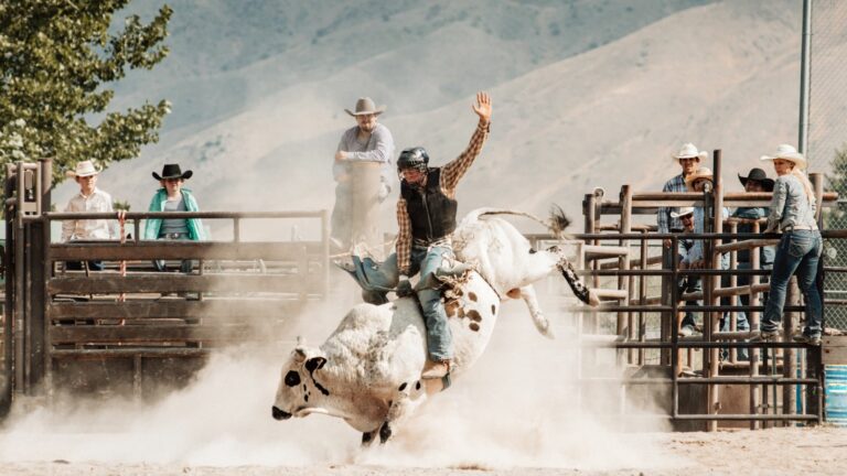 Saddle Up for Siskiyou's Fairs and Rodeos - Discover Siskiyou