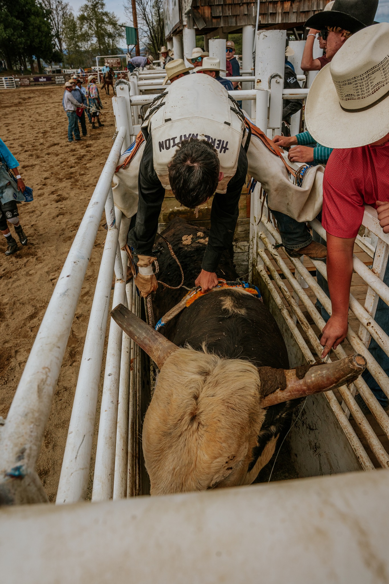 Saddle Up for Siskiyou's Fairs and Rodeos - Discover Siskiyou